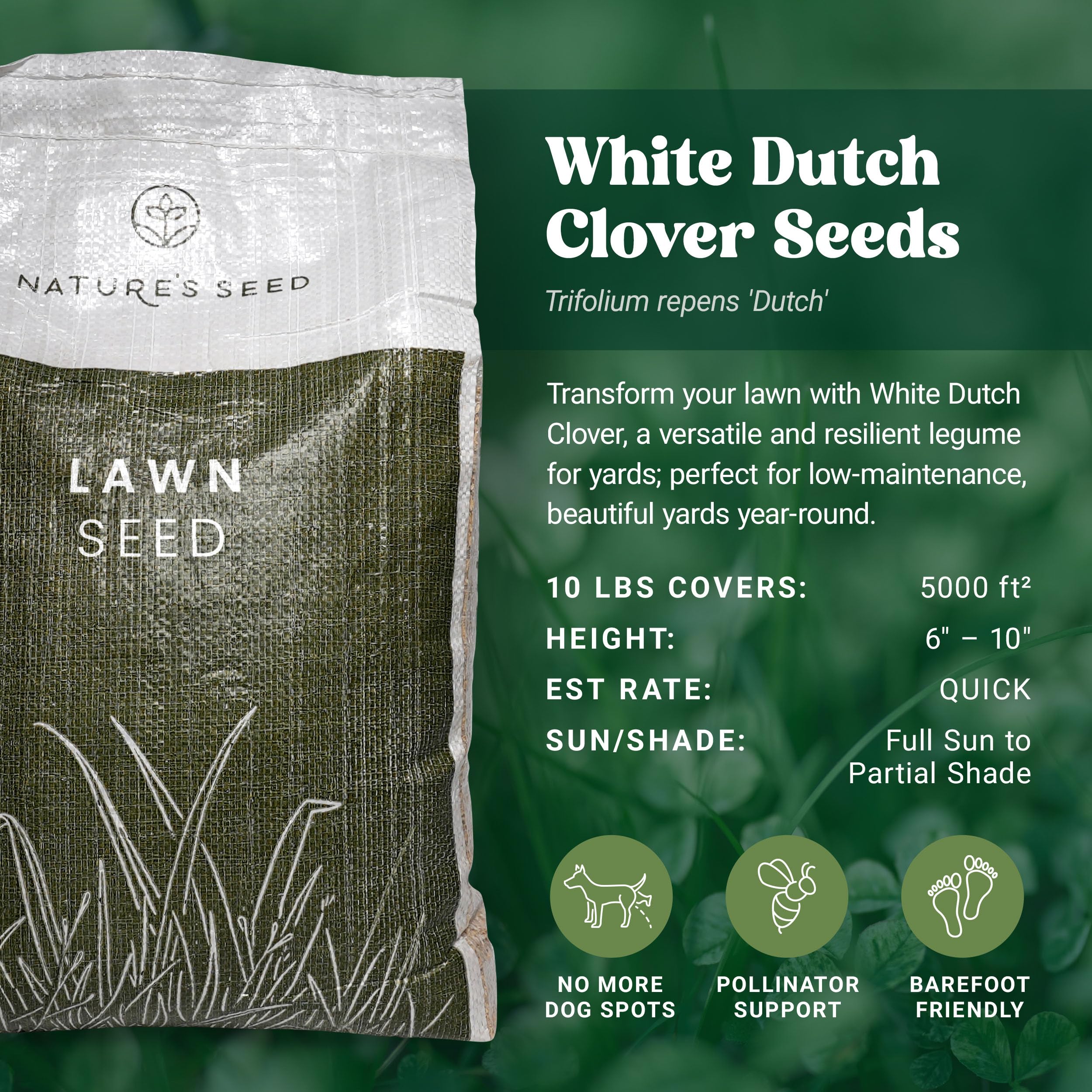 Nature’s Seed White Dutch Clover Seed, Drought Tolerant Ground Cover, Low Maintenance Garden Yard Lawn Alternative, 5000 sq ft