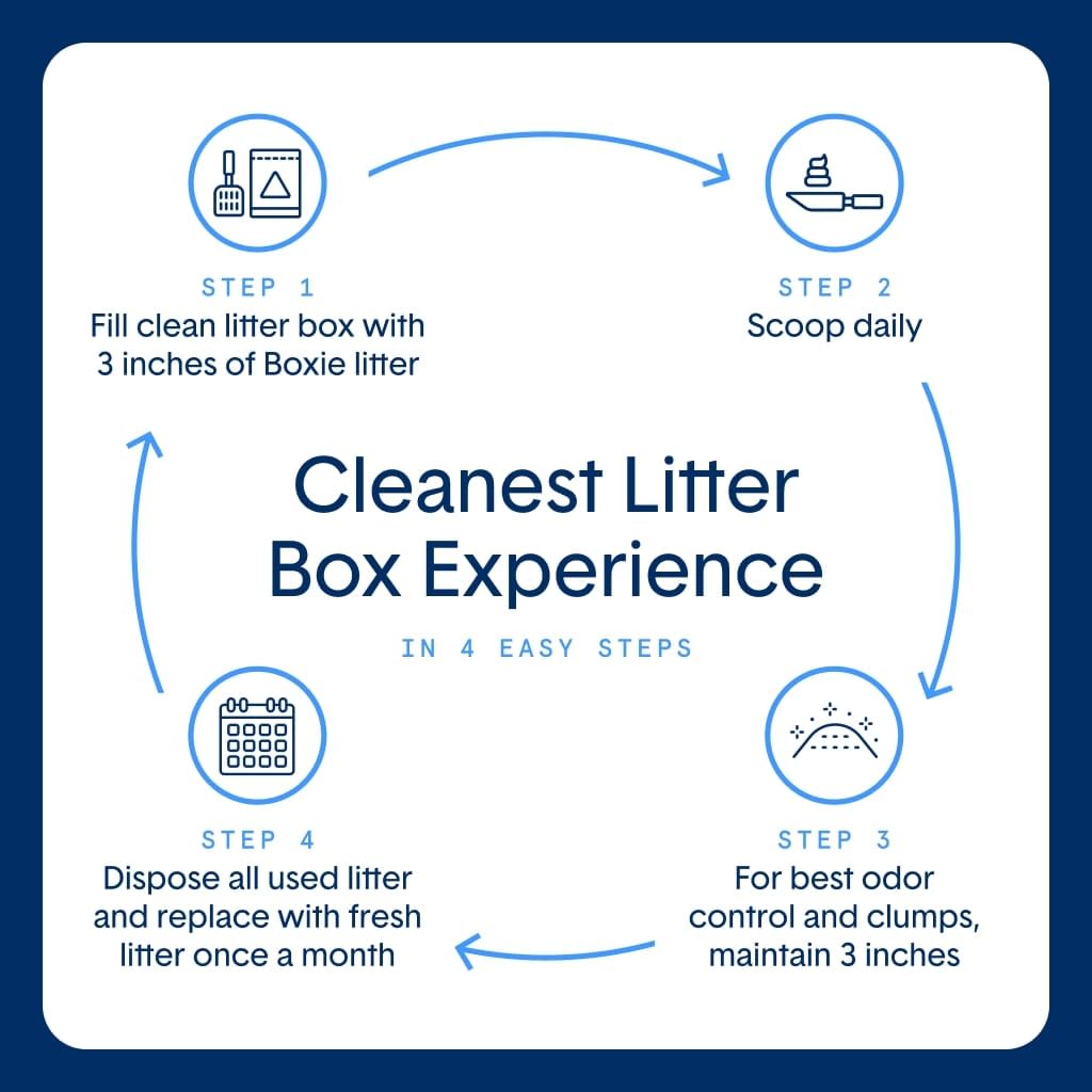 Boxie Extra Strength Cat Litter, 35-Day Odor Control, Clumping Clay, 28lb