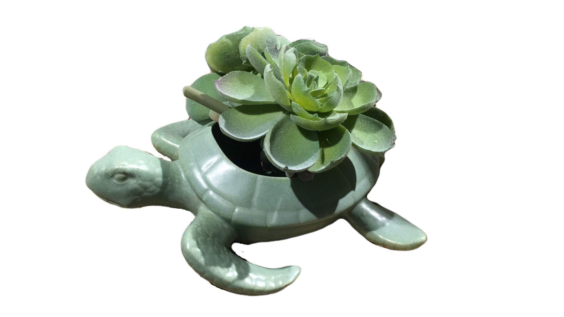 Comfy Hour Ocean Voyage Collection 9" Sea Turtle Succulent Planter Flower Bud Pot Decorative Small Plant Vase, Palegreen, Dolomite