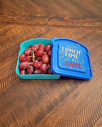 Set of 3 Food Storage Sandwich Containers, 2 cups / 16 oz / 490 ml - 3 Different Designs. Great for Meal Prep. Kids or Adult Lunch Box - BPA Free and Reusable