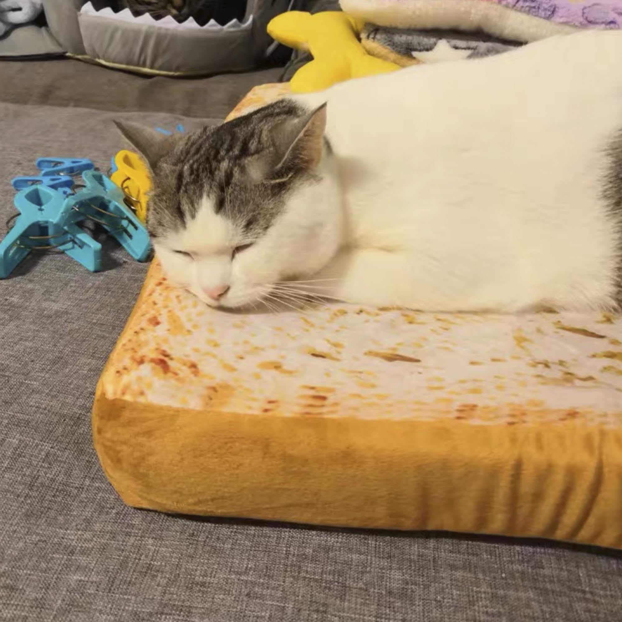 Gefryco Cat Beds for Indoor Cats, Pet Mats Cushion for Cat and Small Dogs Creative Toast Bread Slice Mattress (Sponge Core)