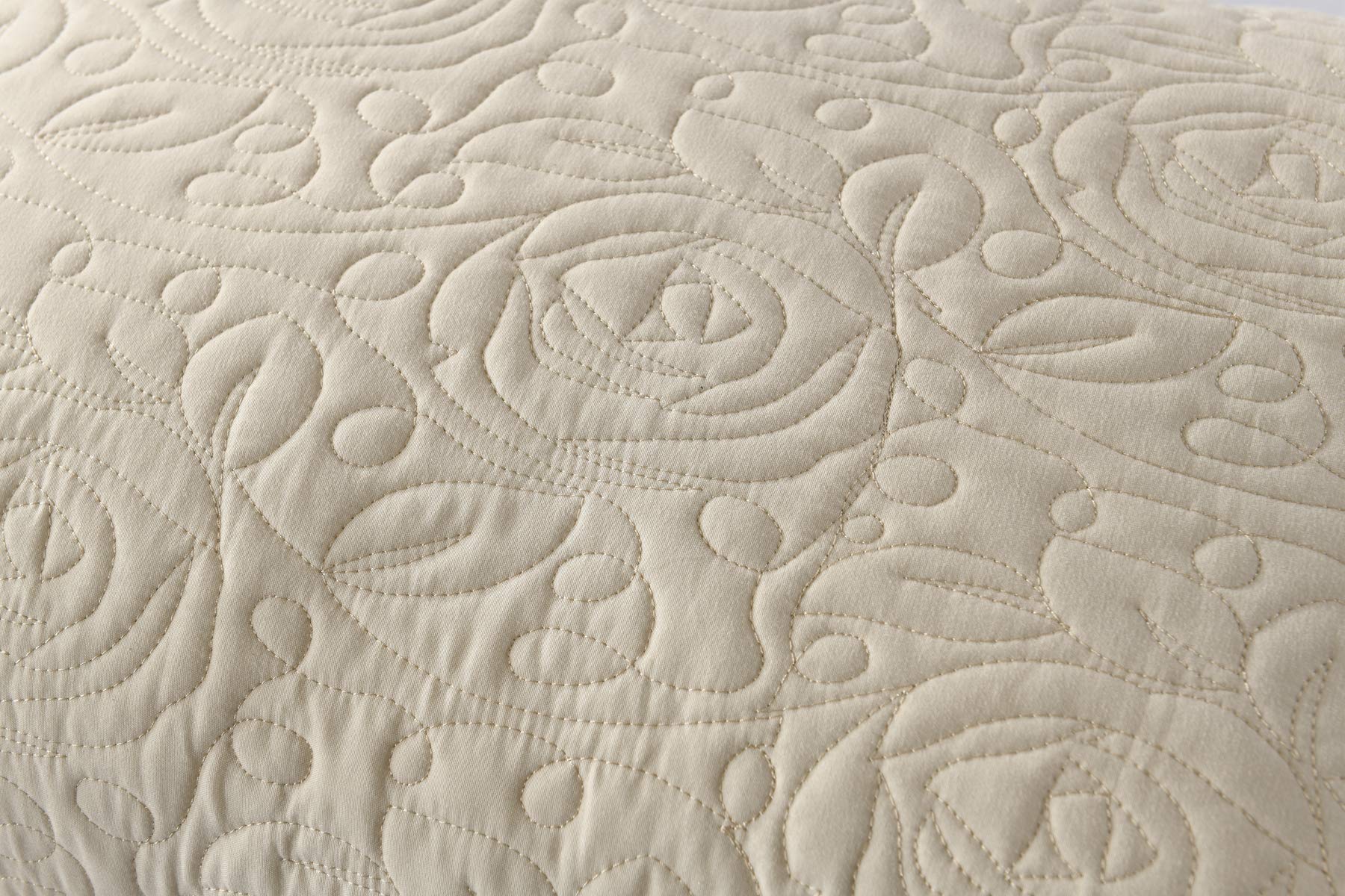 MarCielo 2-Piece Embroidered Pillow Shams, Queen Size Decorative Microfiber Pillow Covers Set, Standard Size Beige