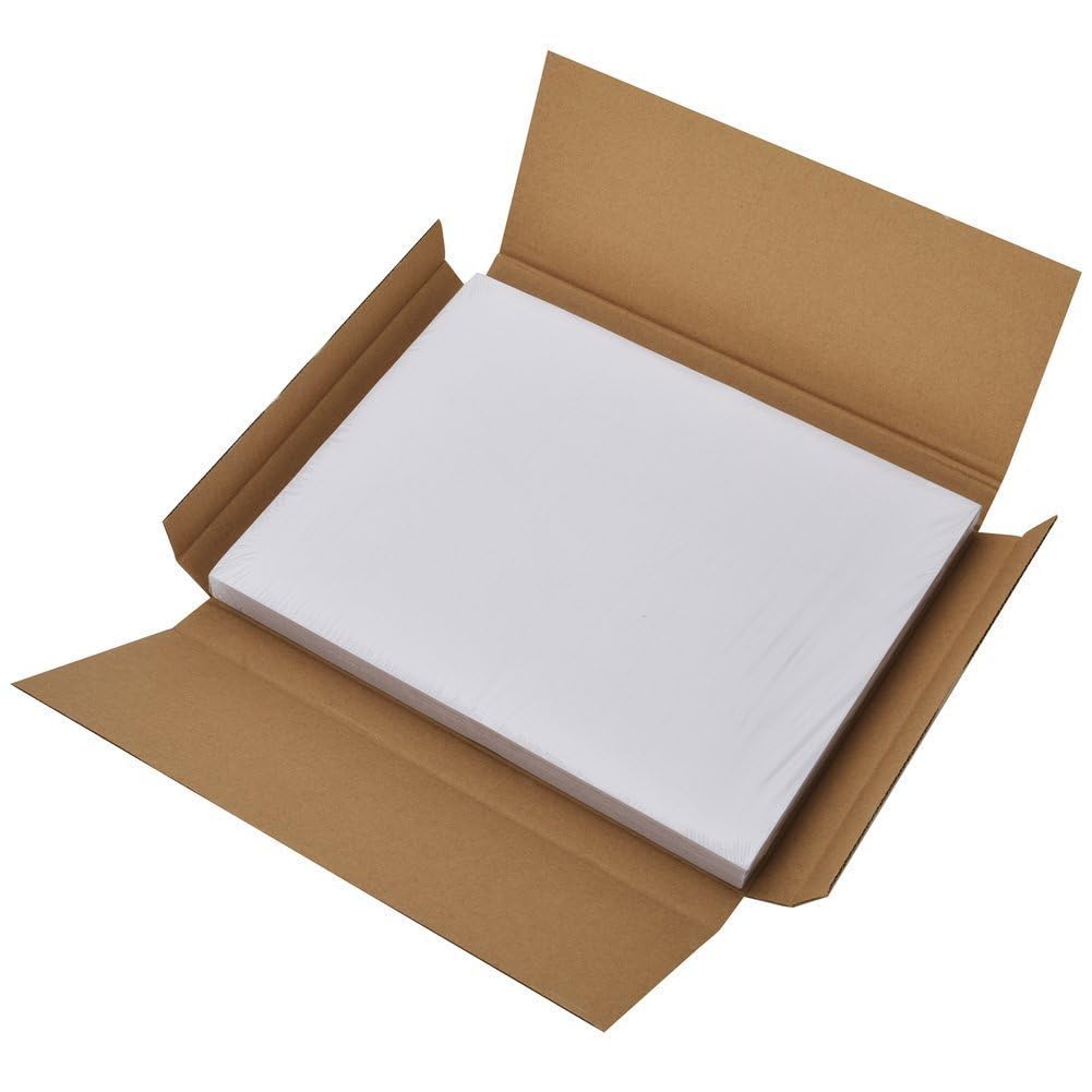 9527 Product 10 UP Sticker Labels,2x4 inches FBA Shipping Address Labels for Laser/Ink Jet Printer,Total 1000 Labels