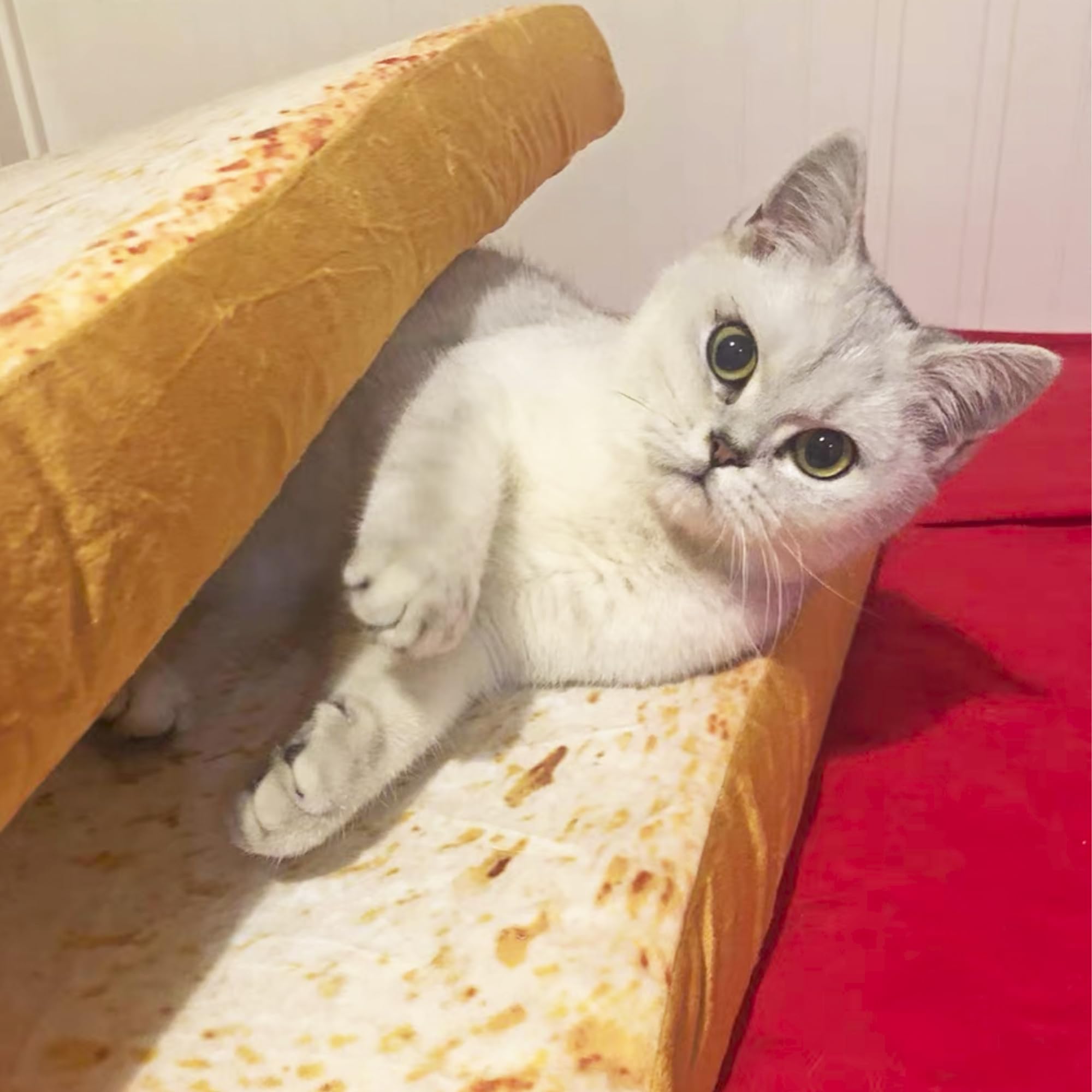 Gefryco Cat Beds for Indoor Cats, Pet Mats Cushion for Cat and Small Dogs Creative Toast Bread Slice Mattress (Sponge Core)