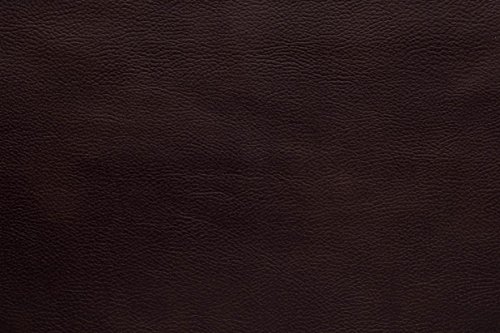 Homelegance Bastrop Double Reclining Sofa (Manual), Brown