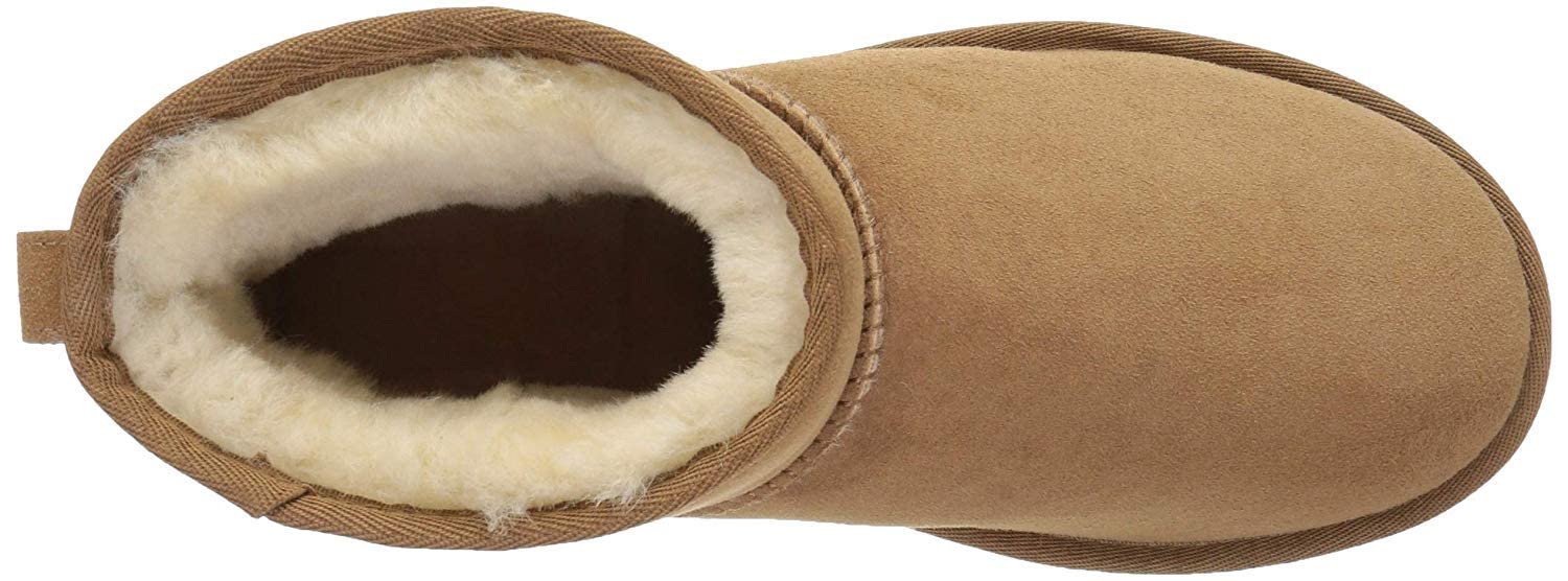 UGG Women's Classic Mini Ii Boot, Chestnut, 10