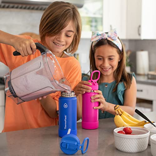 ThermoFlask Double Wall Vacuum Insulated Stainless Steel Kids Water Bottle with Straw Lid, 16 Ounce, 2-Pack, Blueberry/Wolf Grey