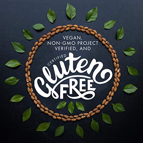 So Delicious Dairy Free Coconut Milk Frozen Dessert, Vanilla Bean, No Sugar Added, Vegan, Non-GMO Project Verified, 1 Pint