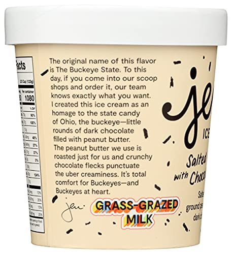 JENIS SPLENDID ICE CREAMS Salted Peanut Butter with Chocolate Flecks, 1 PT