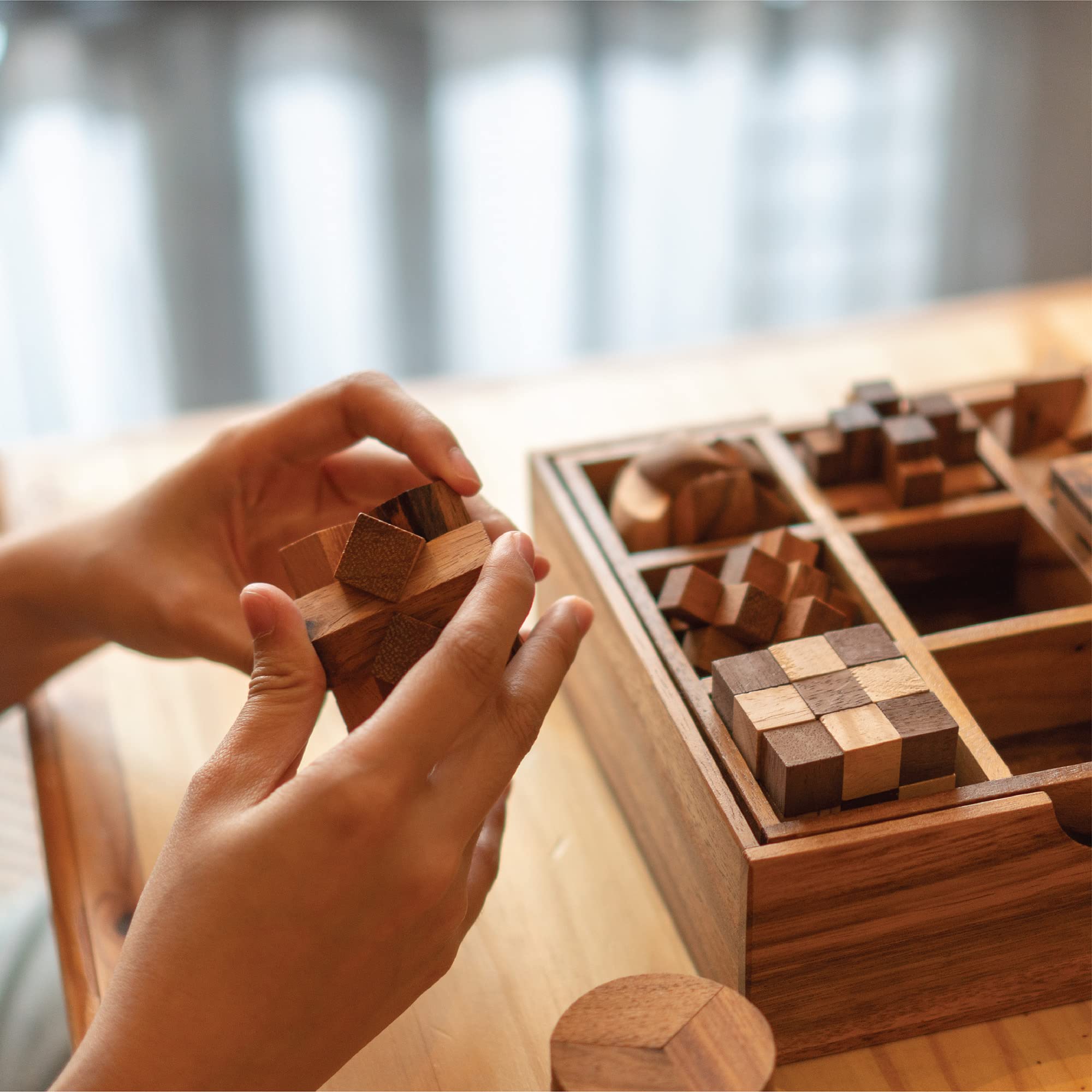 BSIRI 9 Puzzles in a Box - Wooden Brain Teasers, 3D Puzzles for Adults and Kids, Educational Mind Games, Ideal for Birthday Gifts and Home Decor