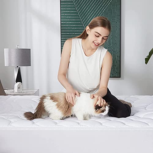 Bedsure Queen Mattress Pad, Mattress Topper Queen Soft Mattress Protector Breathable Fluffy Cooling Bedding Quilted Fitted Pillow Top Mattress Cover with 8-21" Deep Pocket(60x80 Inches)