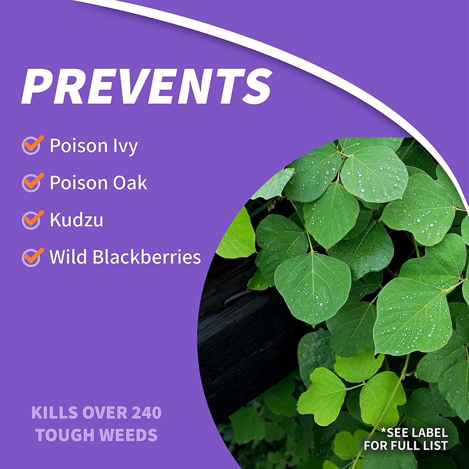 Bonide Poison Ivy Products 331 Concentrate Brush Weed Killer, 32-Ounce, Pack of 2