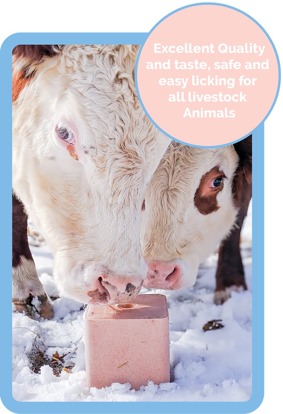 Himalayan Secrets® 5.5LB (2.5KG) Compressed Pink Himalayan Salt Lick | for Livestock and Wildlife Animals | 100% Pure & Natural Feed Salt Block | Natural Minerals and Trace Elements