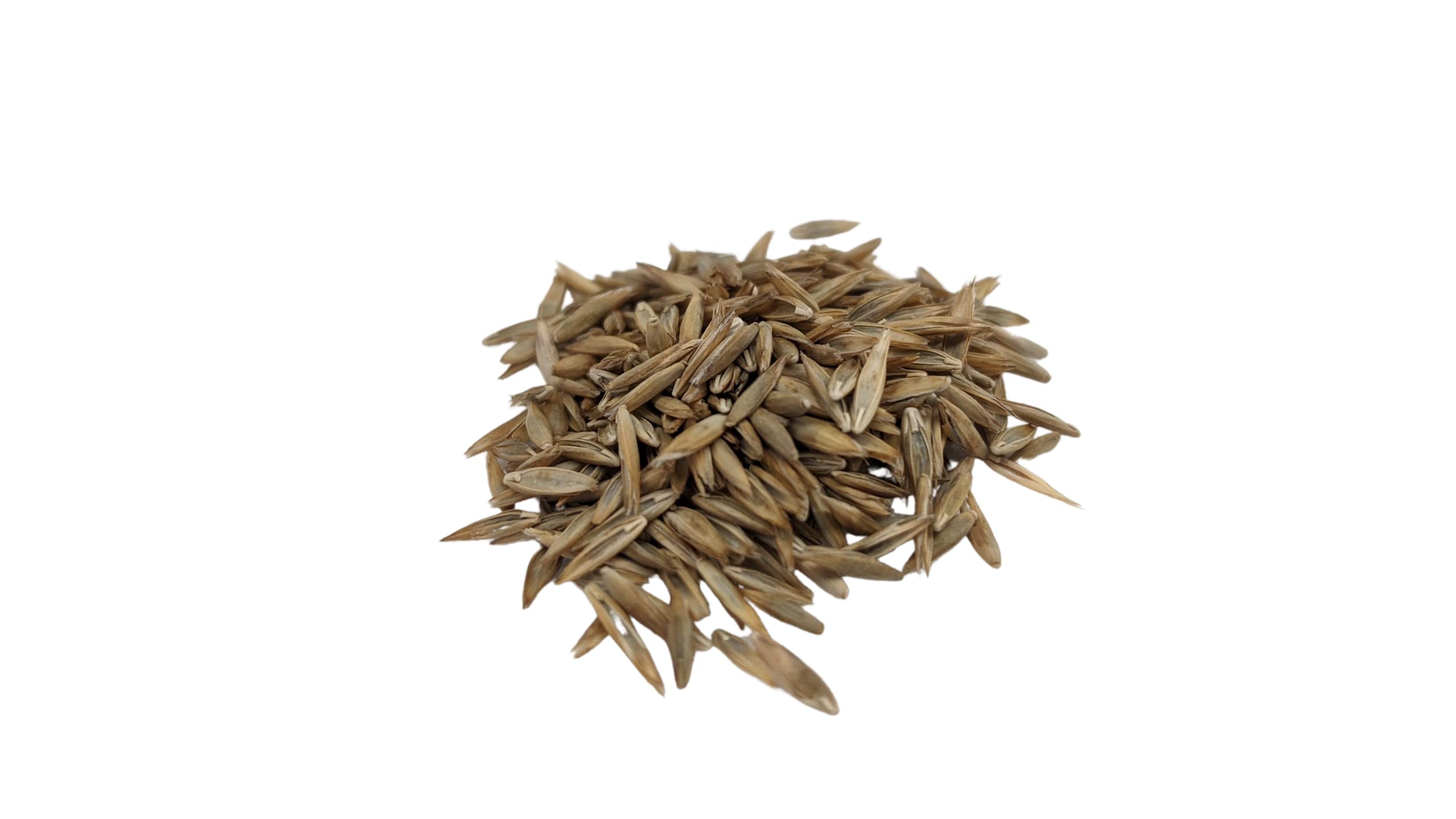 Marathon Grass Seed Can, 1 lb