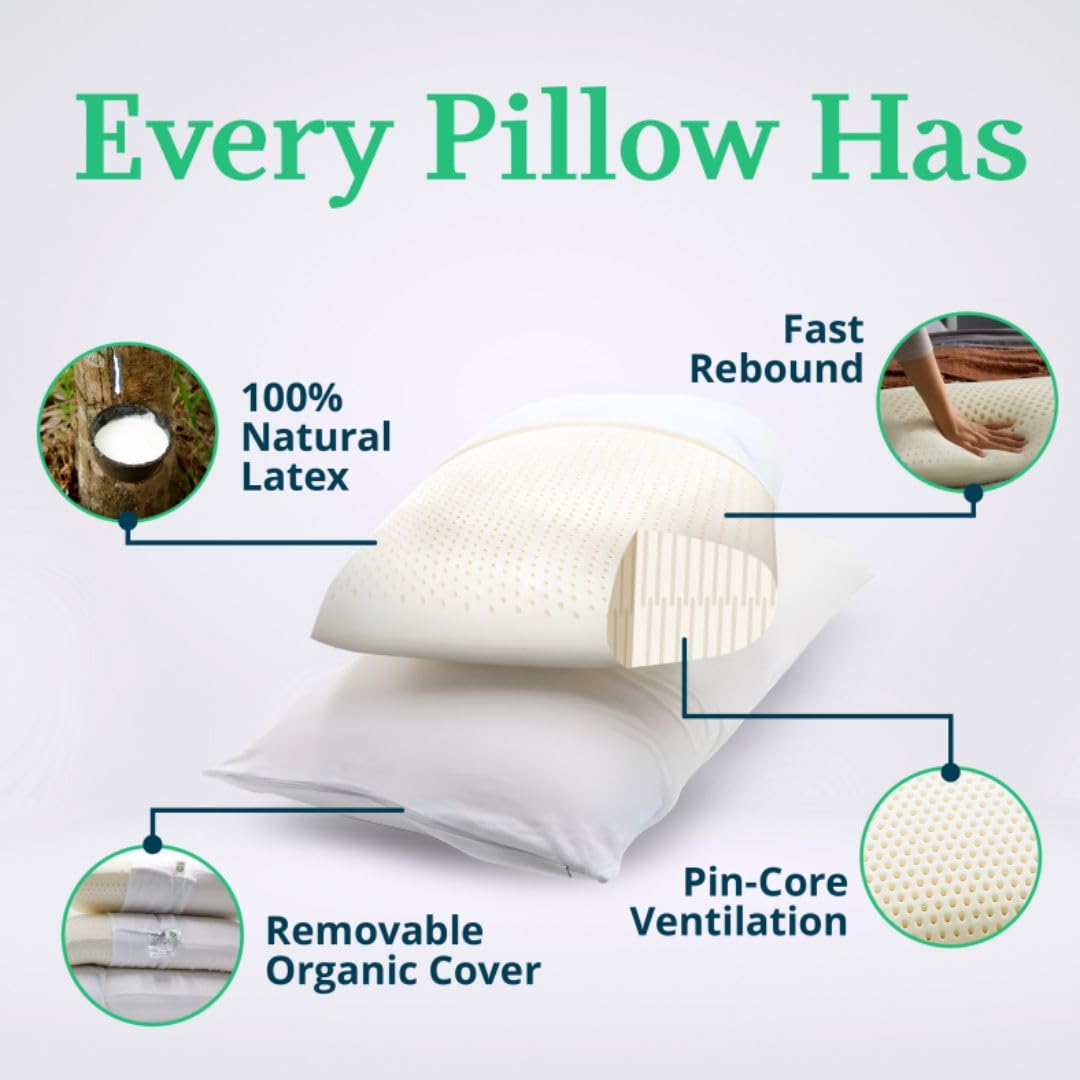 OrganicTextiles Talalay Latex Pillow with Organic Cotton Cover (Queen Size, Soft), GOTS Certified, Bed Pillow for Sleeping, Neck Pain Relief Help, Head Support, for Side Back Stomach Sleeper