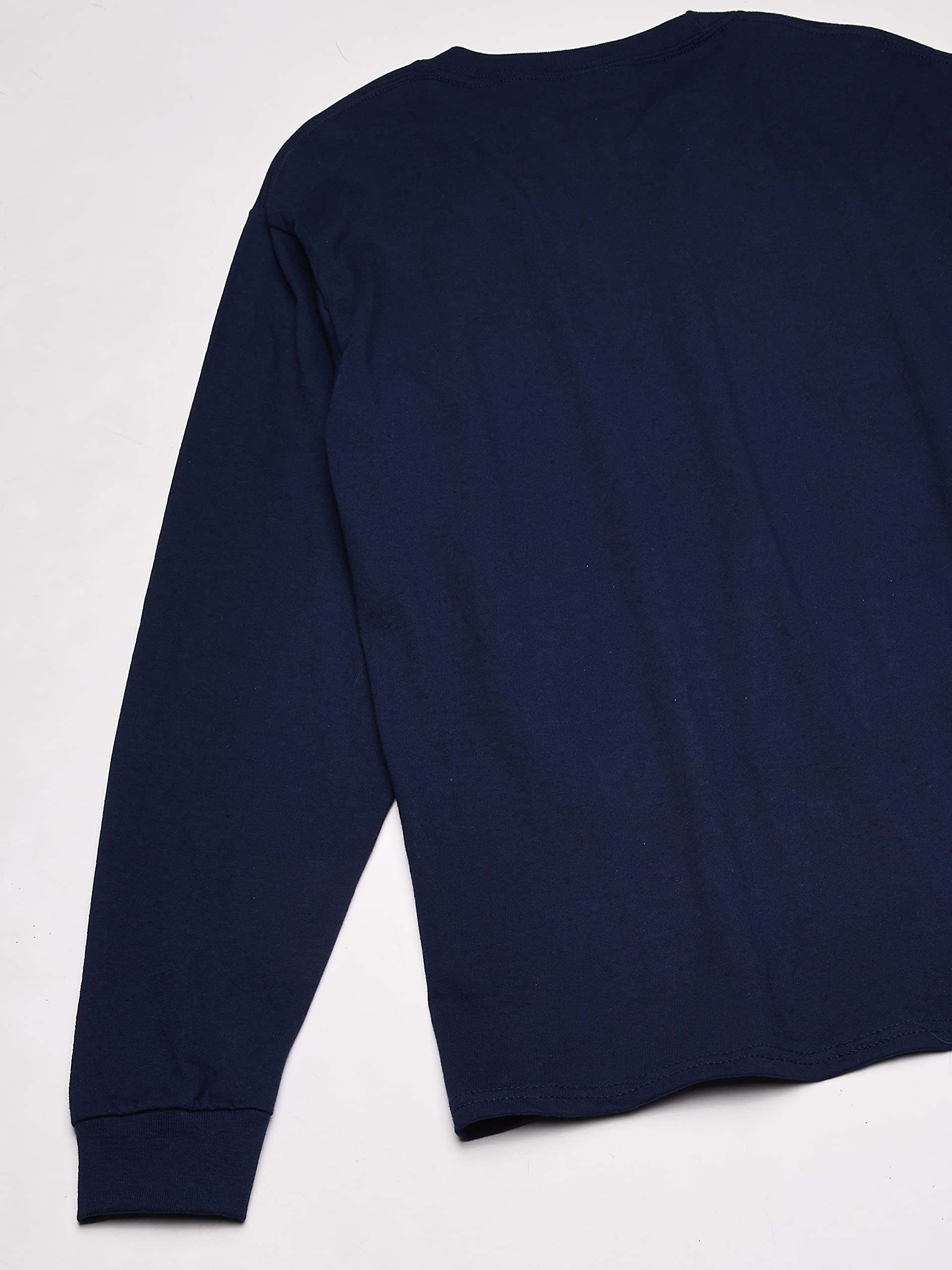 Hanes mens Hanes Men's Beefy Heavyweight Long Sleeve T-shirt Shirt, Navy, X-Large US
