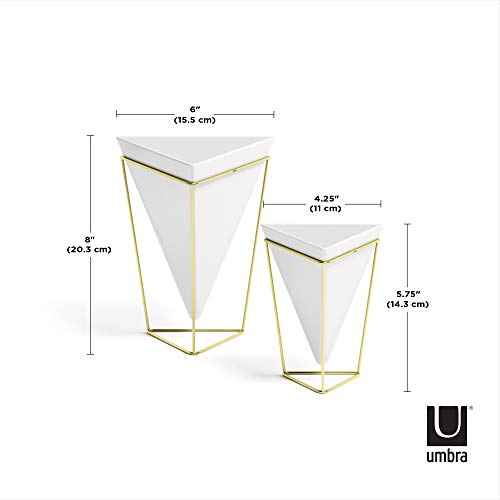 Umbra - 1004372-524 Trigg Desktop Planter Vase & Geometric Container-for Succulent, Air, Mini Cactus, Faux Plants and More, Desk, White/Brass