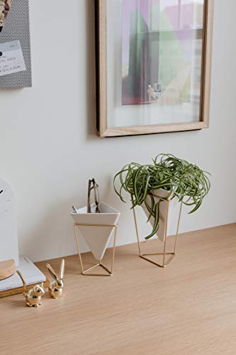 Umbra - 1004372-524 Trigg Desktop Planter Vase & Geometric Container-for Succulent, Air, Mini Cactus, Faux Plants and More, Desk, White/Brass