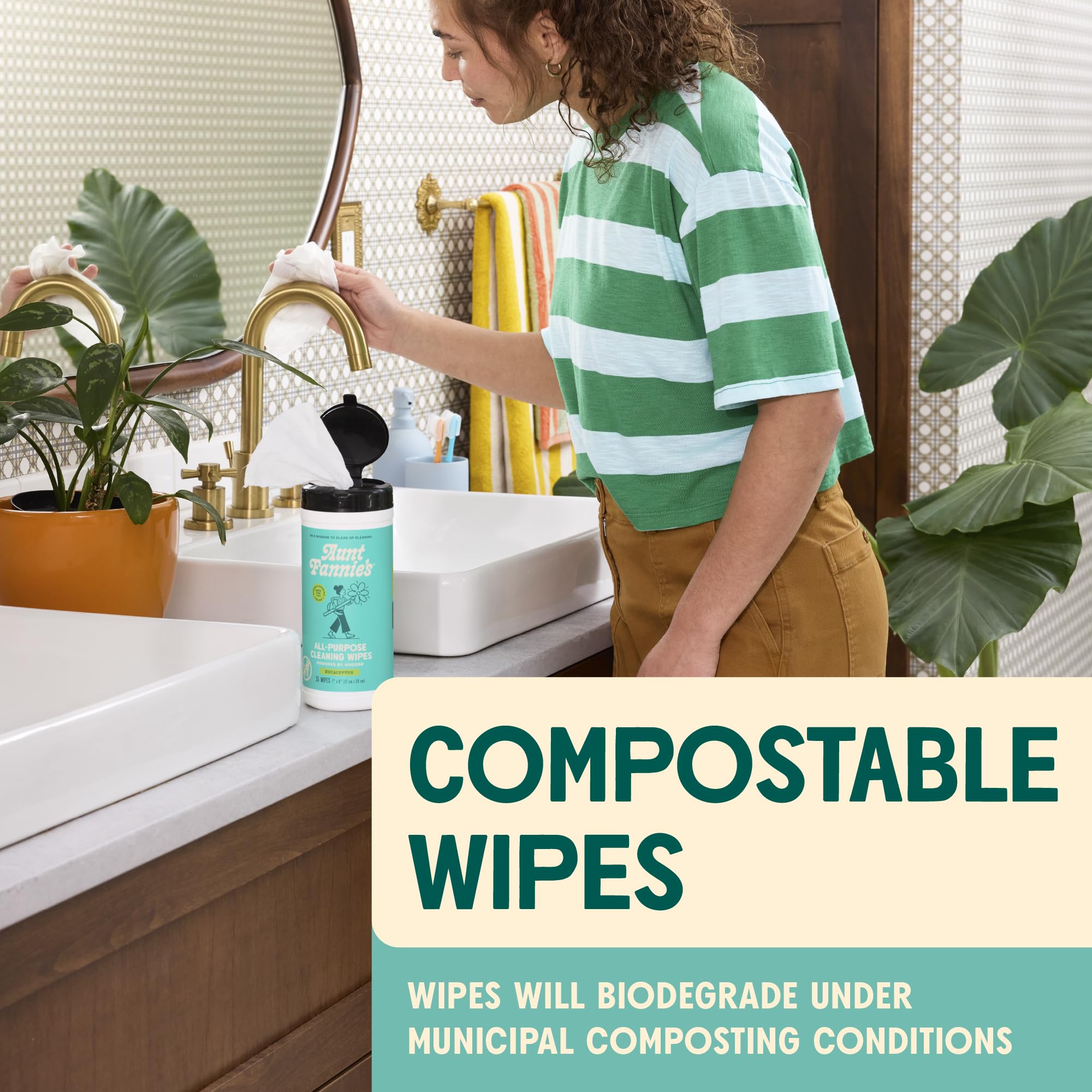 Aunt Fannie's Natural Cleaning Vinegar Wipes, Multipurpose Surface Cleaner, Eucalyptus Scent, 35 Count (Pack of 1), Packaging May Vary
