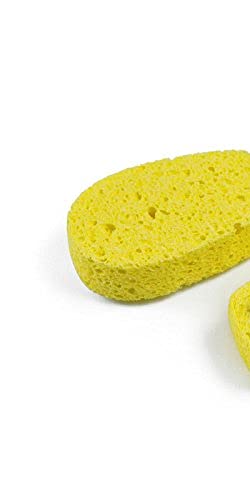 Full Circle Suds Up Dish Sponge Refill, Green, 0.068125000000000005 Pound