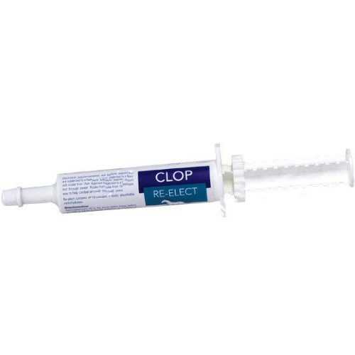 CLOP Re-Elect Concentrated Electrolyte Paste 30g - Replenish salts lost from sweating