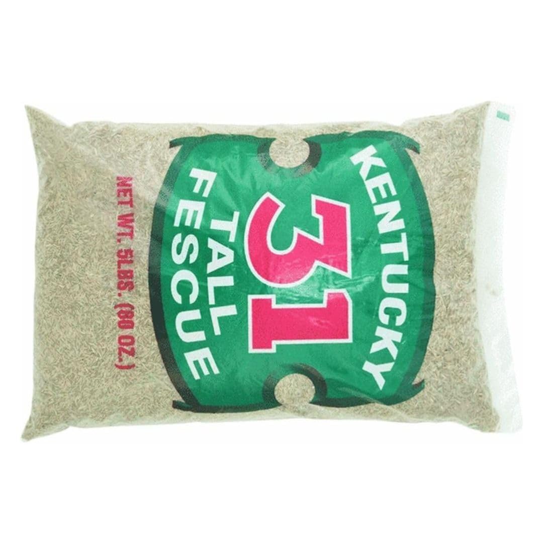 Barenbrug Tall Fescue Grass Seed 5 lb.