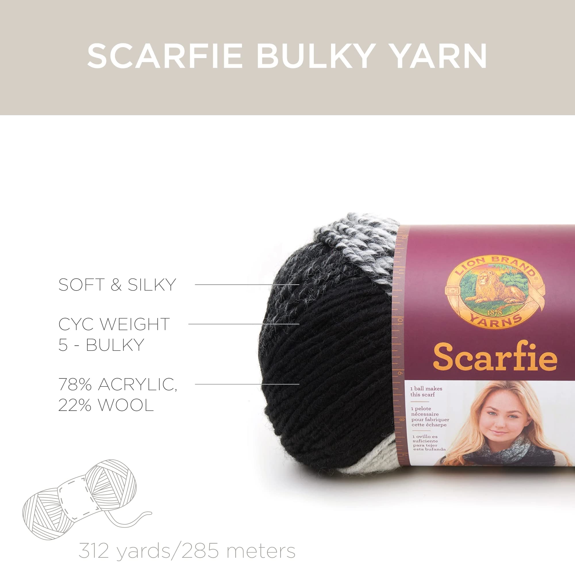Lion Brand Yarn (1 Skein) Scarfie Bulky Yarn, Cranberry/Black