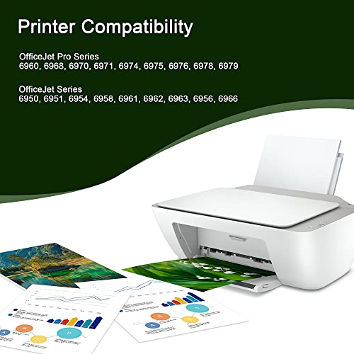 902XL Ink Cartridges for HP Printers Replacement for 902XL 902 XL Ink Use with OfficeJet Pro 6978 6968 6958 6970 Printers (902XL Ink Cartridges Combo Pack, 2 Black, Cyan, Magenta, Yellow)
