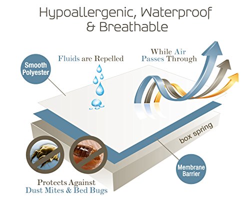 SafeRest Premium 9" Thick Box Spring Encasement - Waterproof - Breathable, Noiseless and Vinyl Free - Fits Up to 9" - Queen