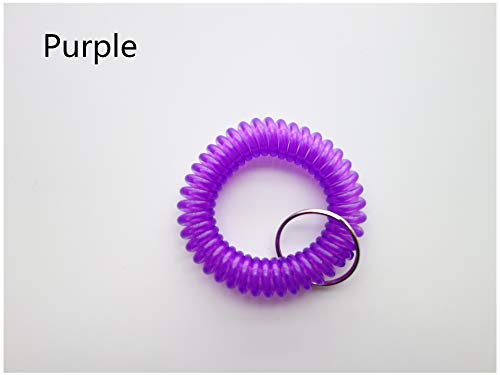 Pack of 6 Colorful Spring Spiral Wrist Coil Key Chain, Wristband Key Ring