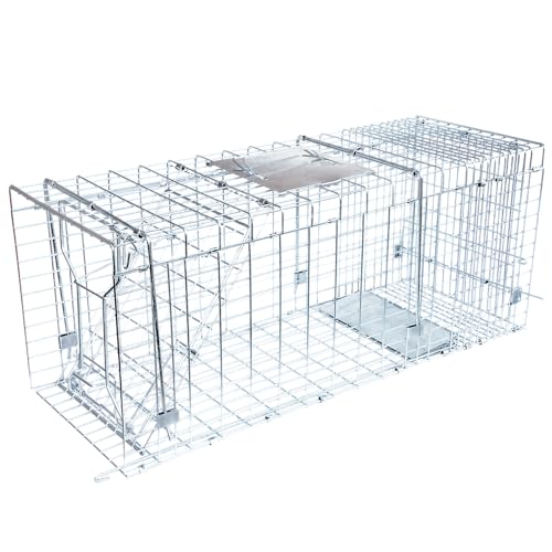 JT Eaton 485N Answer Single Door Live Animal Cage Trap for Medium to Large Size Pests, 31" x 11" x 13", Heavy Duty Steel