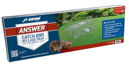 JT Eaton 485N Answer Single Door Live Animal Cage Trap for Medium to Large Size Pests, 31" x 11" x 13", Heavy Duty Steel