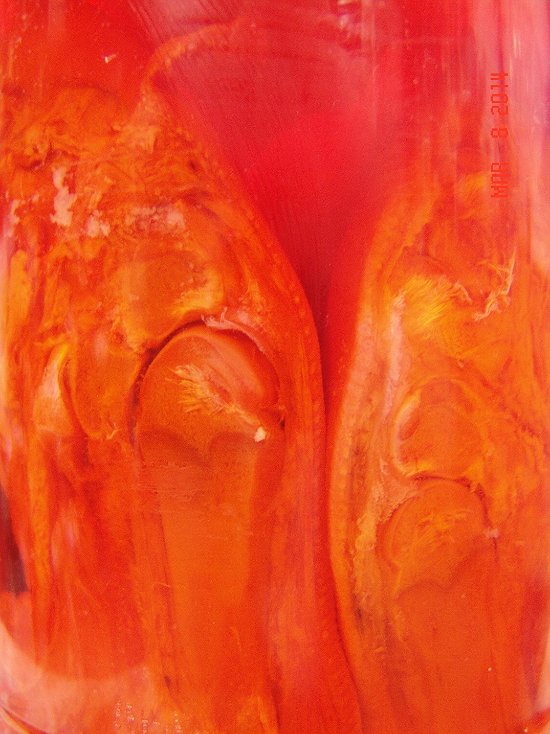 Big John's Pickled Pigs Feet