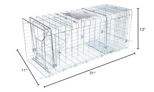 JT Eaton 485N Answer Single Door Live Animal Cage Trap for Medium to Large Size Pests, 31" x 11" x 13", Heavy Duty Steel