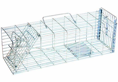 JT Eaton Answer 497N Small Live Cage Trap for Chipmunks, Rats, Voles, Humane Catch and Release with Spring-Loaded Door, Compact Design