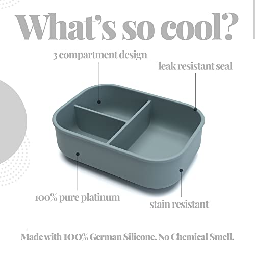 Silicone Bento Box for Kids, Toddlers and Adults - Made from Platinum LFGB German Silicone - Microwave, Dishwasher, Freezer and Oven safe - Lunch, Snack and Sandwich Food Container (Blue)