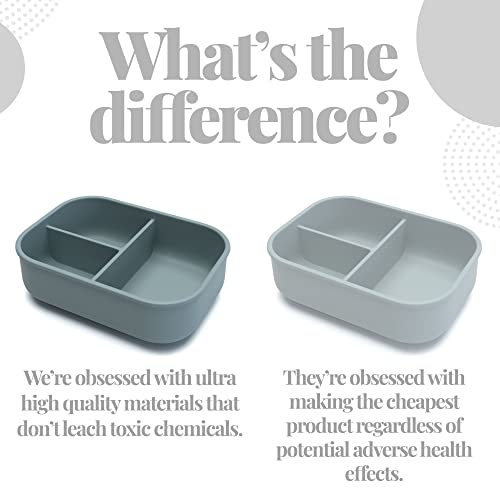 Silicone Bento Box for Kids, Toddlers and Adults - Made from Platinum LFGB German Silicone - Microwave, Dishwasher, Freezer and Oven safe - Lunch, Snack and Sandwich Food Container (Blue)