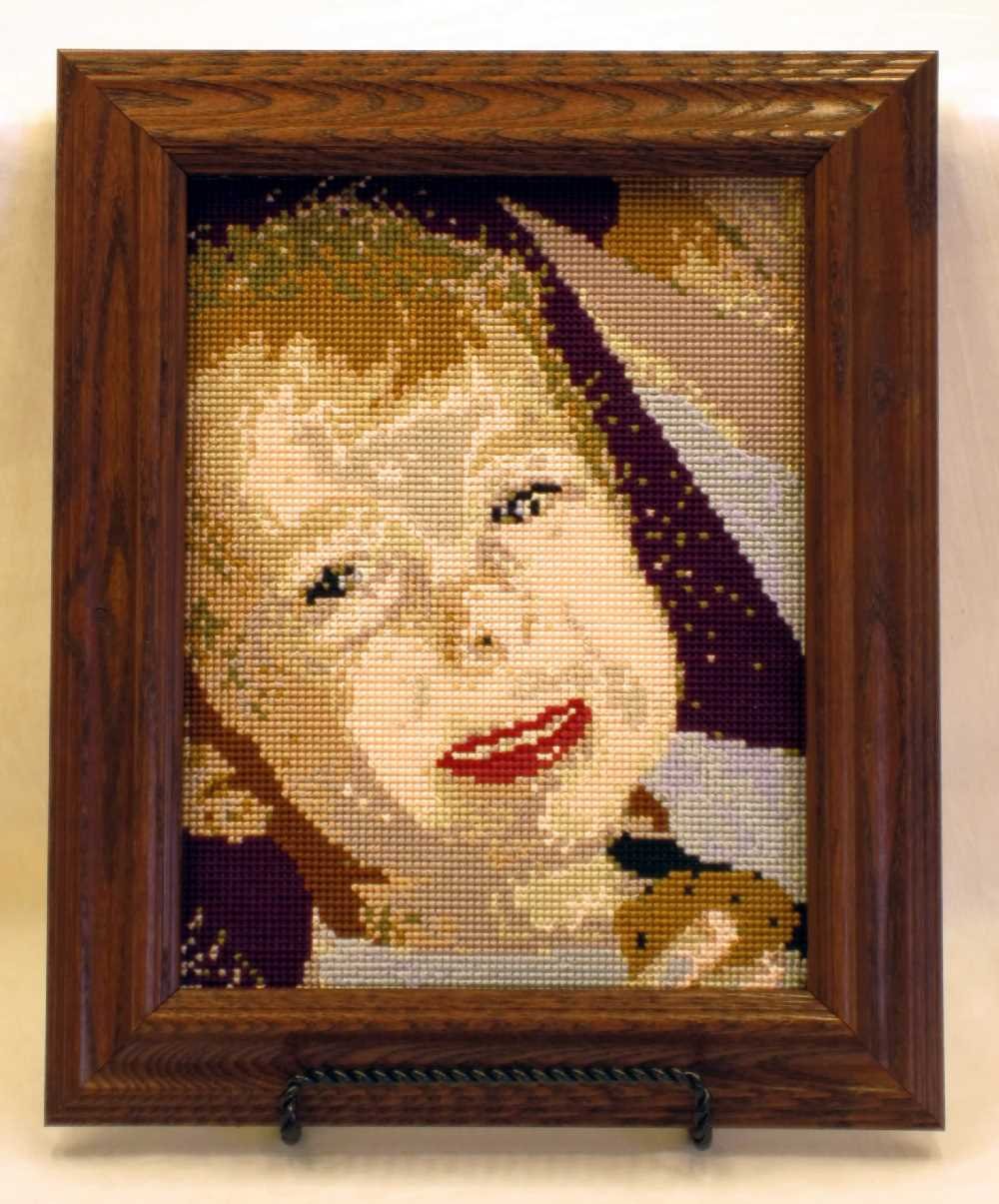 pbnArtist Advanced for Windows - Create Paint By Numbers, Cross Stitch and Coloring Pages from your Favorite Photographs