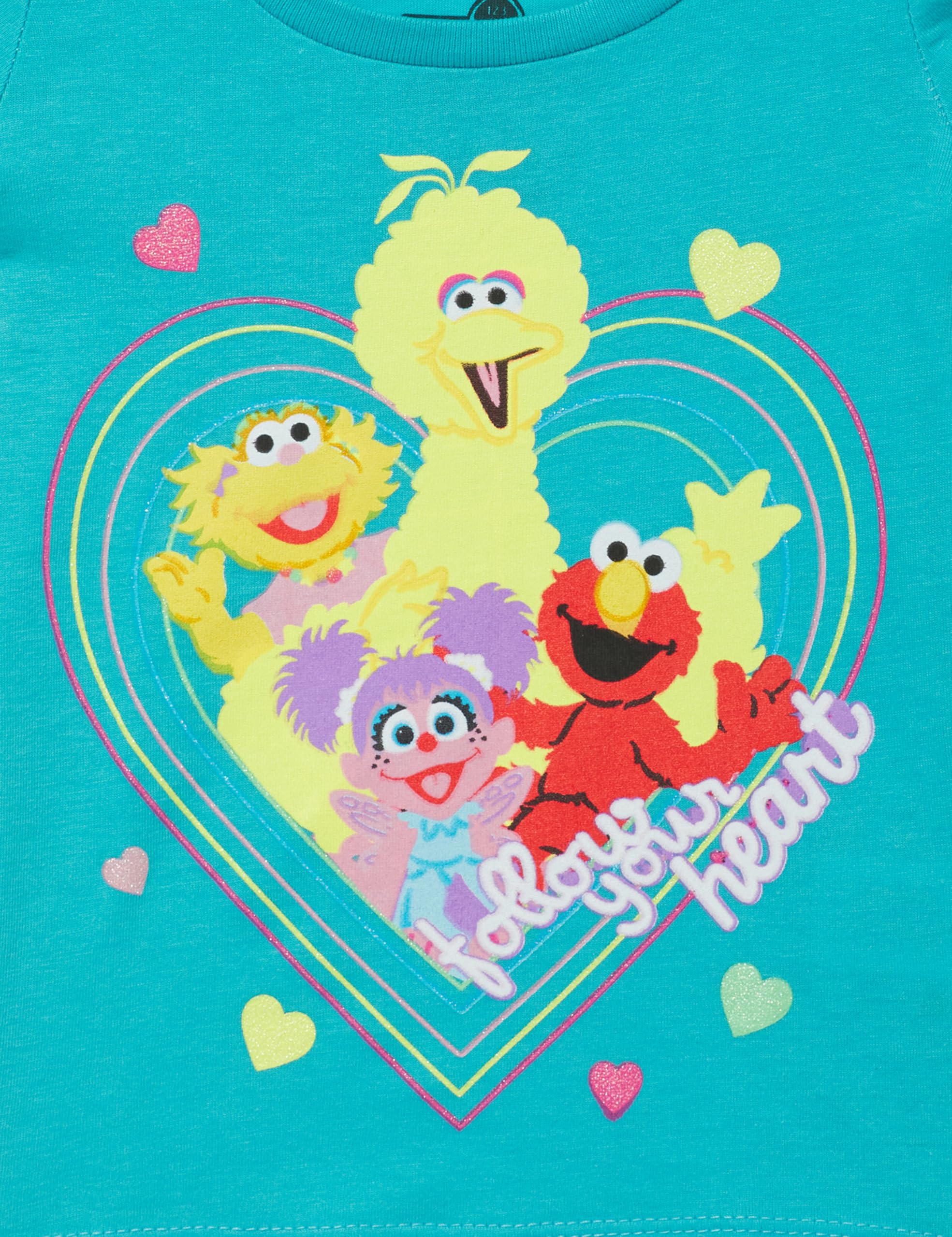 Sesame Street baby girls Short Sleeve Tee Shirt Maternity Blouse, Aqua Turquoise, 2T US