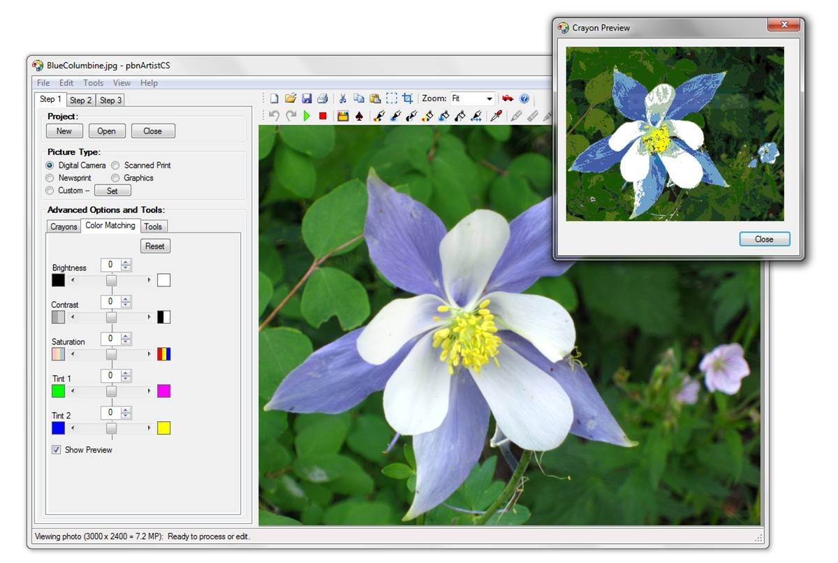 pbnArtist Advanced for Windows - Create Paint By Numbers, Cross Stitch and Coloring Pages from your Favorite Photographs