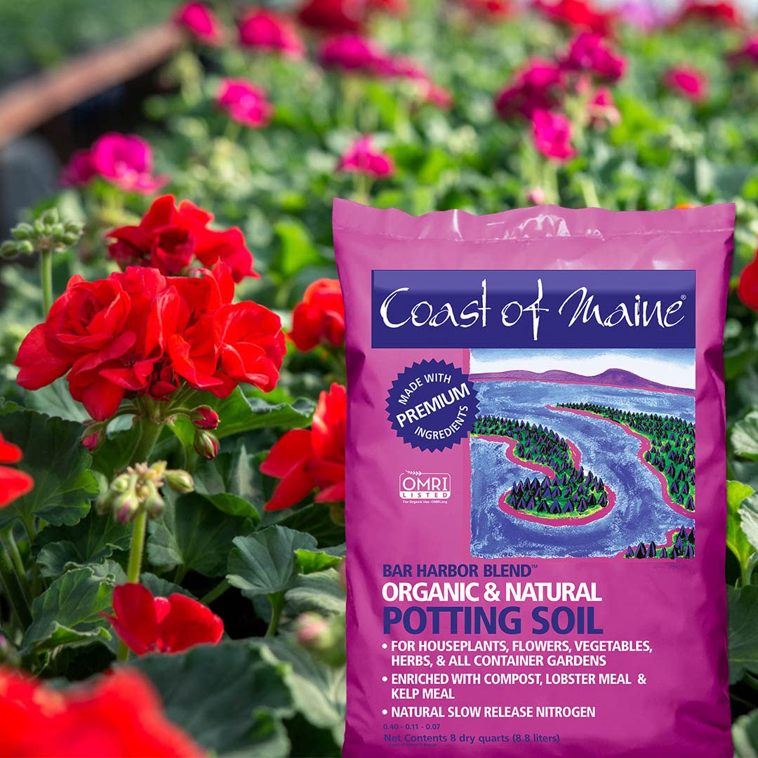 Coast of Maine Organic & Natural Bar Harbor Blend Potting Soil - Organic Soil w/Perlite for Enhanced Drainage & Aeration - for Flowers, Herbs & Veggies, Floral Baskets & Container Gardening (1 cu ft)