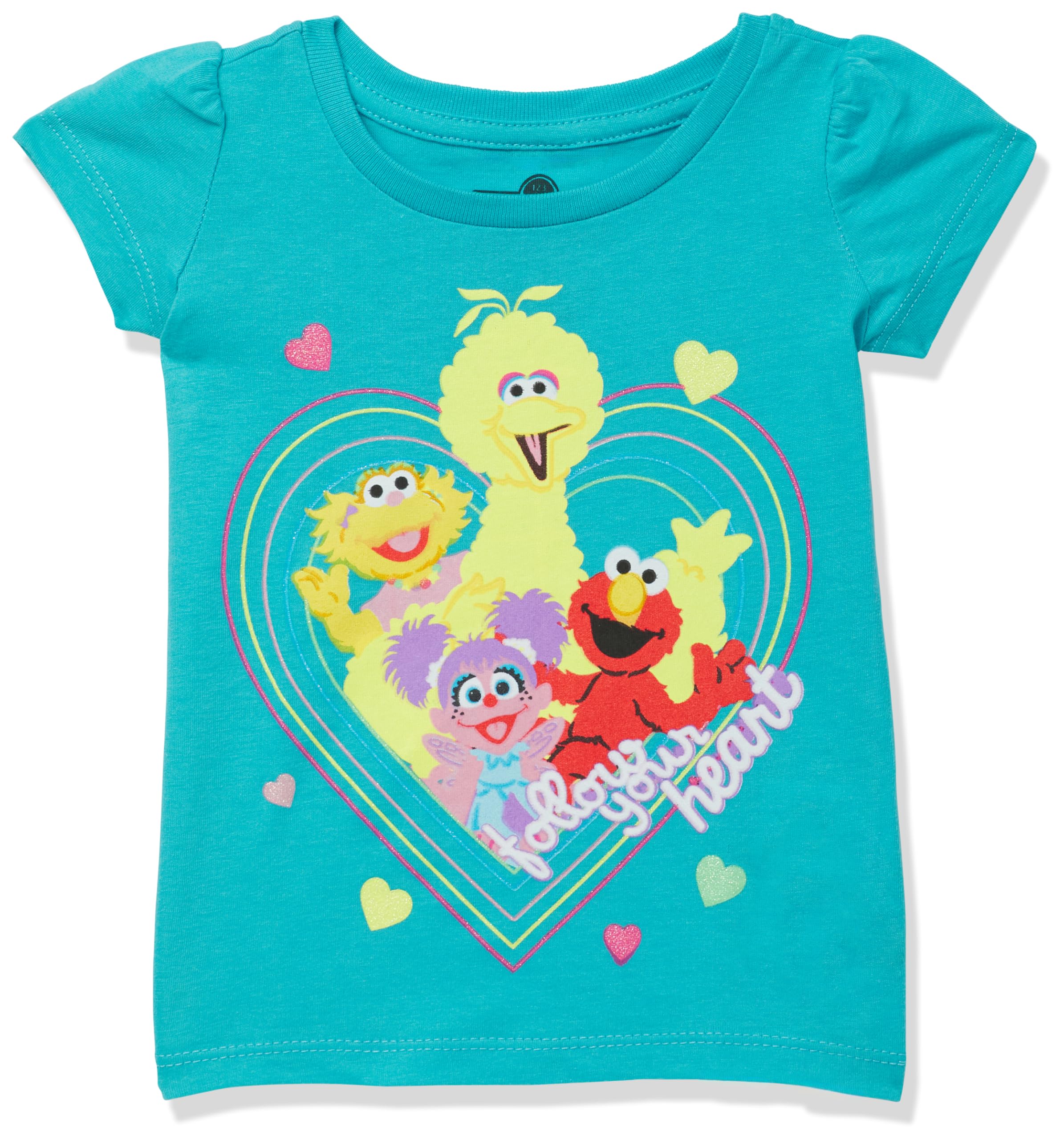 Sesame Street baby girls Short Sleeve Tee Shirt Maternity Blouse, Aqua Turquoise, 2T US