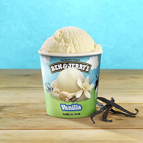 Ben & Jerry's Vanilla Ice Cream Pint Non-GMO 16 oz