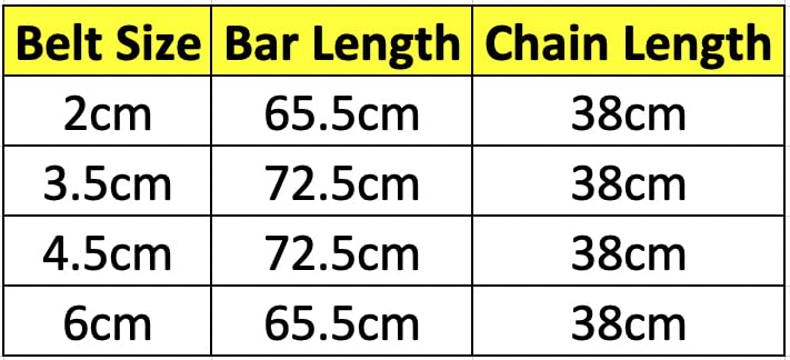 Live It Style It Womens Metal Waist Belt Mirror Wide Gold Silver Full Plate Waistband Chains, Gold, 2cm