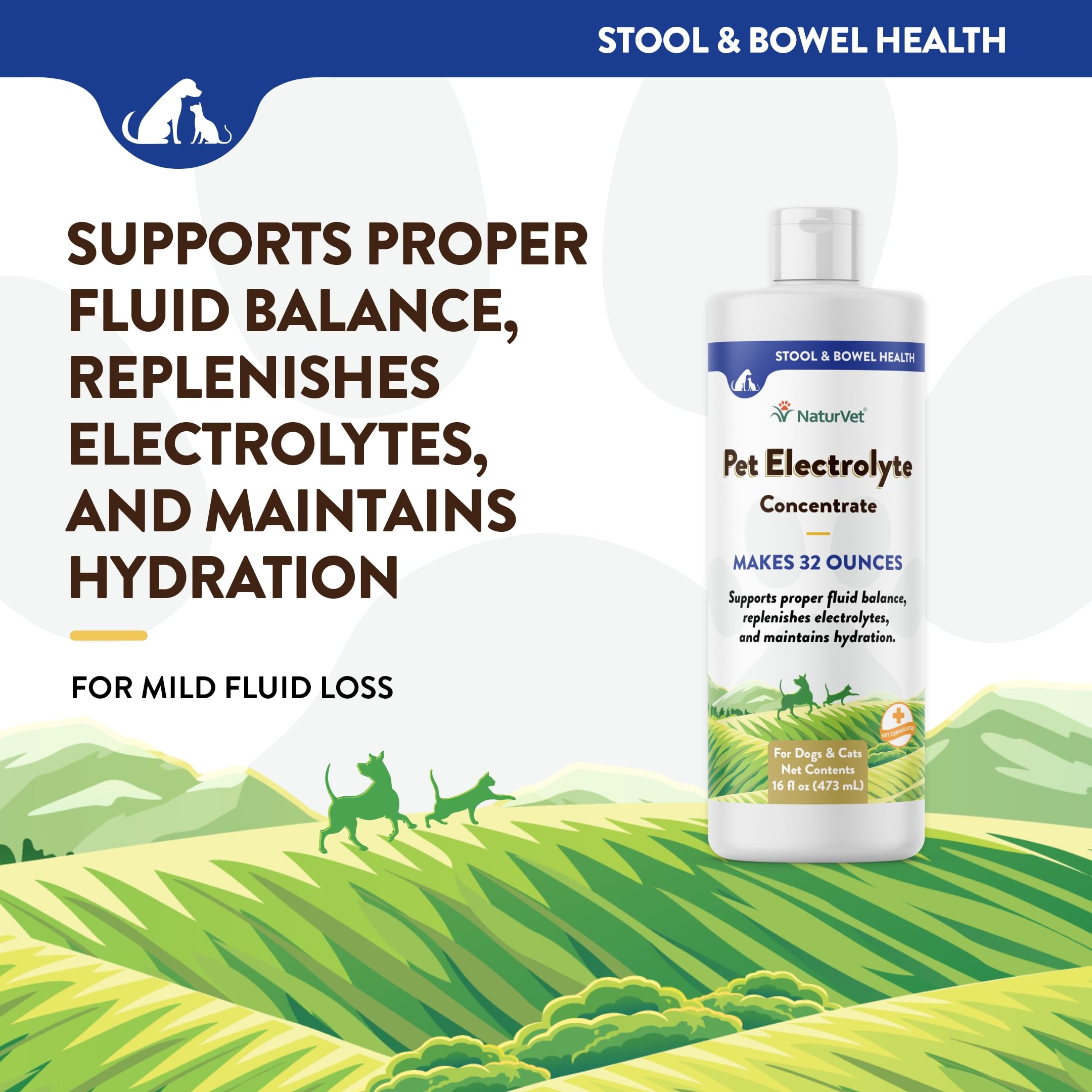 NaturVet Pet Electrolyte Concentrate for Dogs and Cats, 16 oz Liquid Concentrate, Made in The USA with Globally Source Ingredients