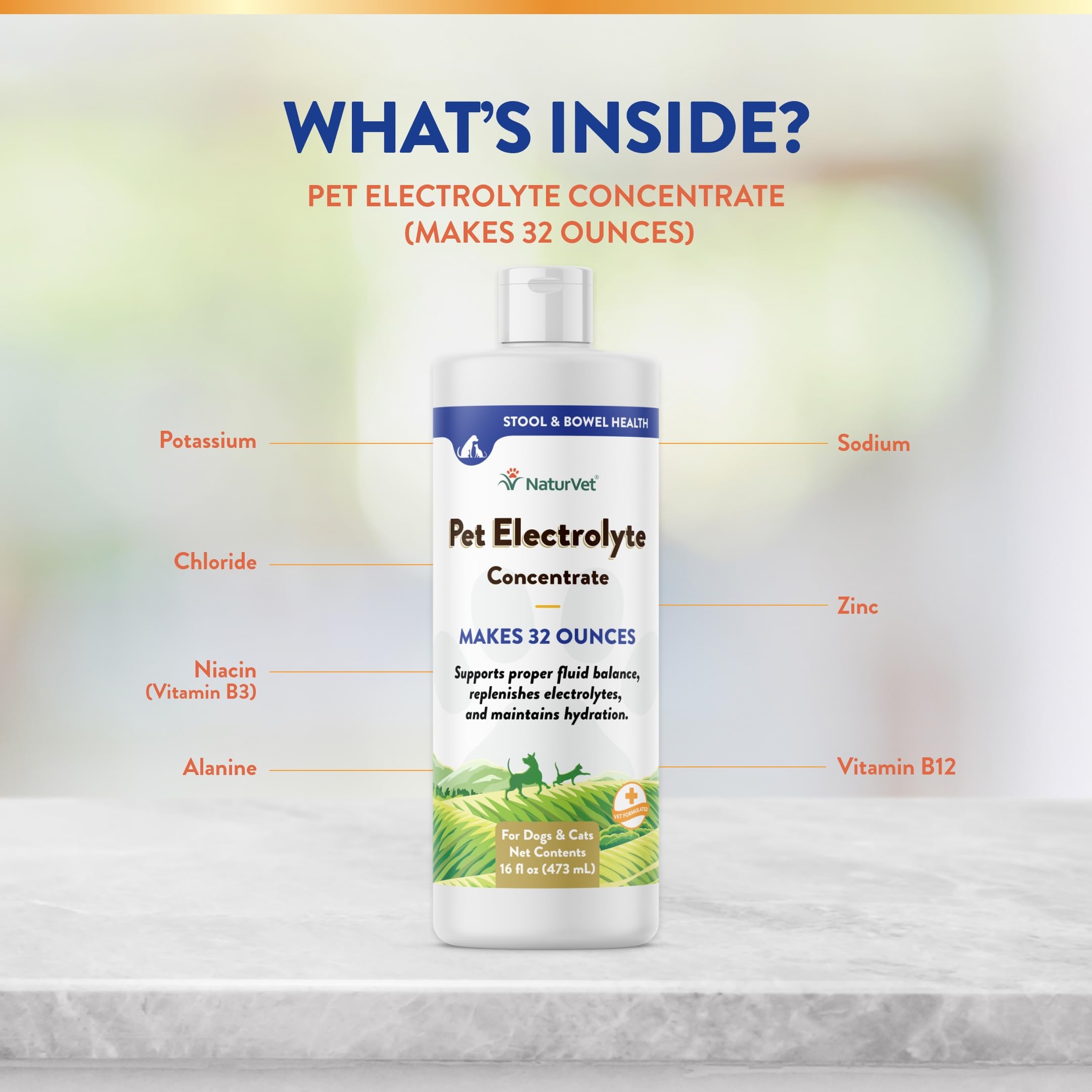 NaturVet Pet Electrolyte Concentrate for Dogs and Cats, 16 oz Liquid Concentrate, Made in The USA with Globally Source Ingredients