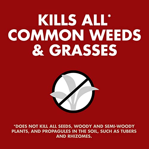 Spectracide Weed-Killers, 1.3 gal - 4 count, Clear