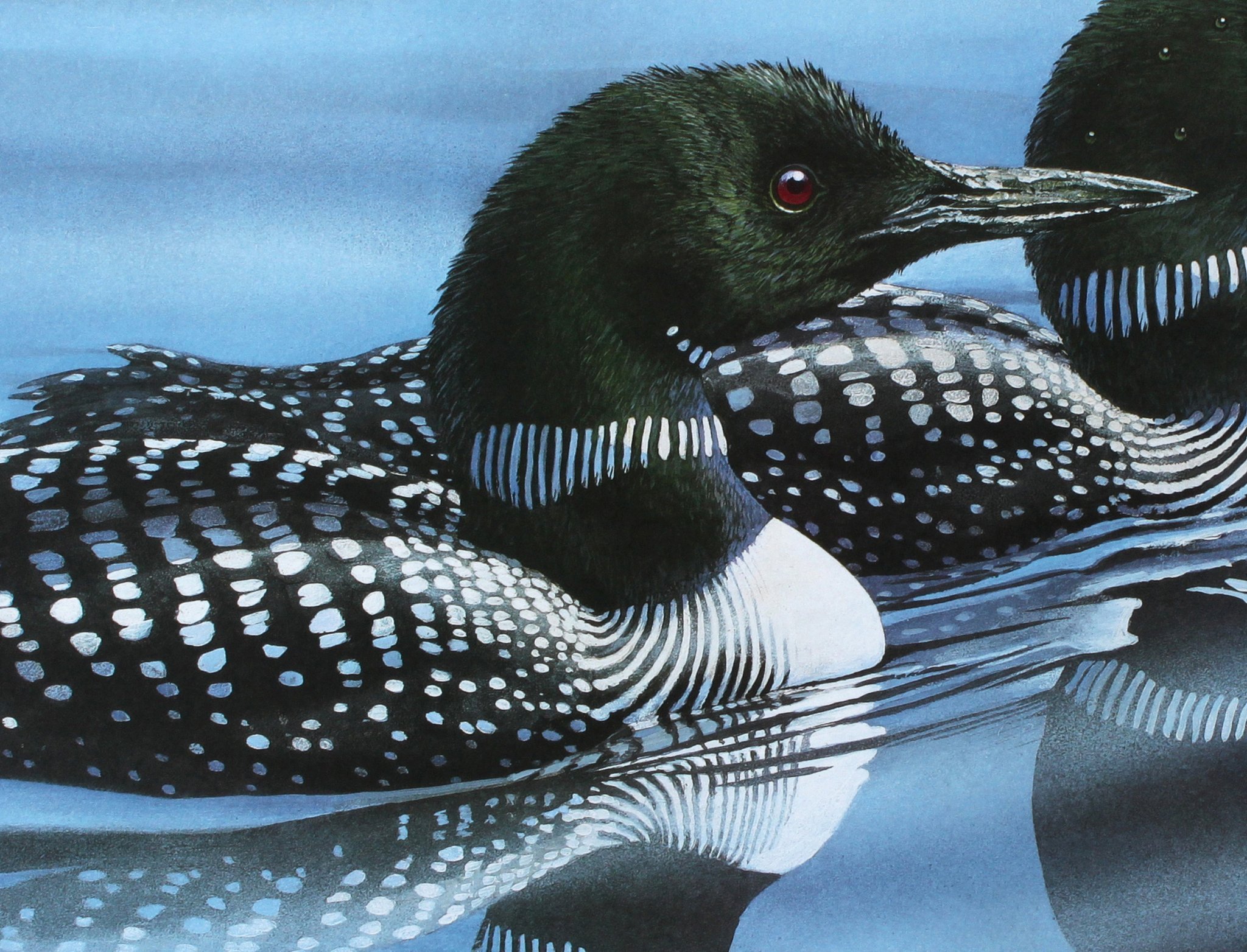 Loons Loon pair Artist Proof Signed Limited Edition Print from an original painting by Lawrence Dyer Signed Wildlife Bird Art Gift 19" x 13"