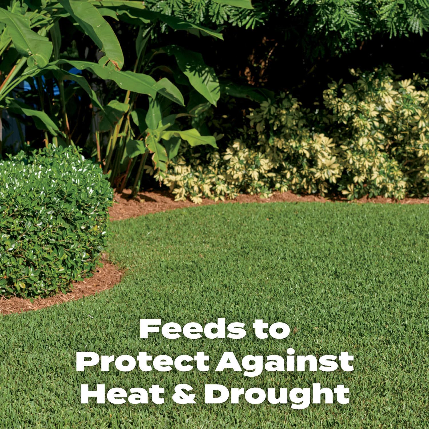 Scotts Turf Builder Southern Lawn Fertilizer for Southern Grass, 10,000 sq. ft., 28.12 lbs.