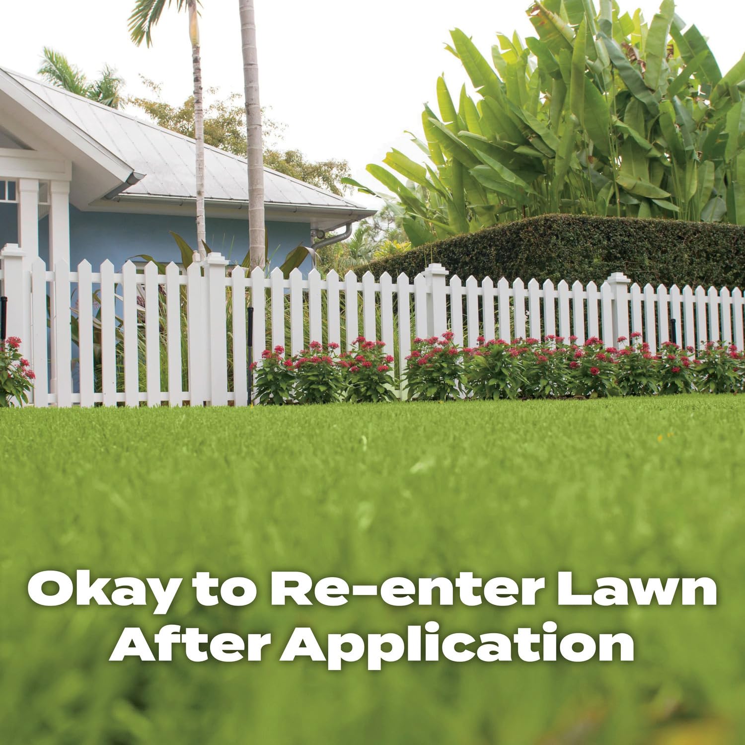 Scotts Turf Builder Southern Lawn Fertilizer for Southern Grass, 10,000 sq. ft., 28.12 lbs.